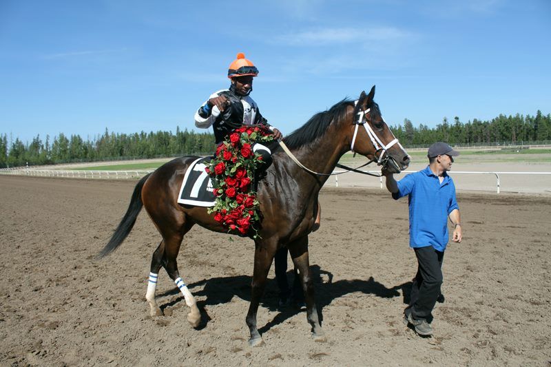 Regal Max Wins Alberta Derby