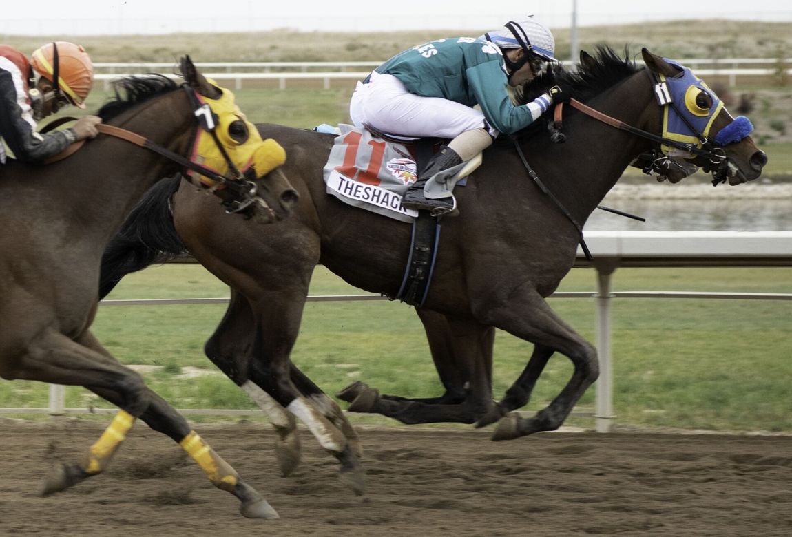 Canadian Thoroughbred Horse Society