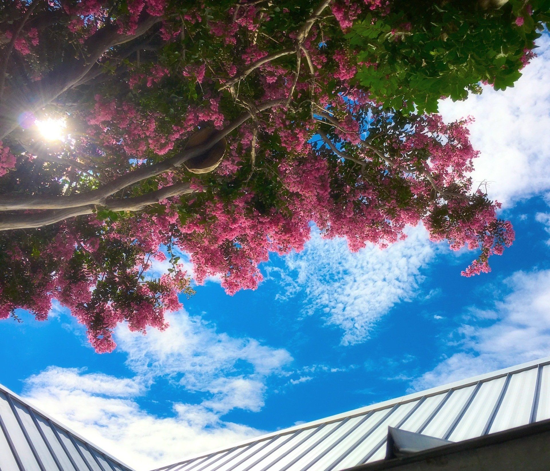 The Lincoln Marfa: Hotel in Marfa