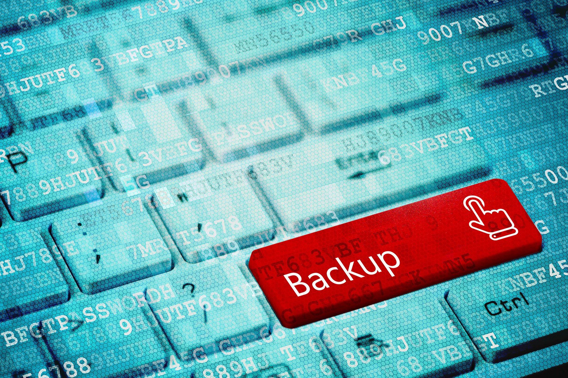 Do you have a backup of your website?