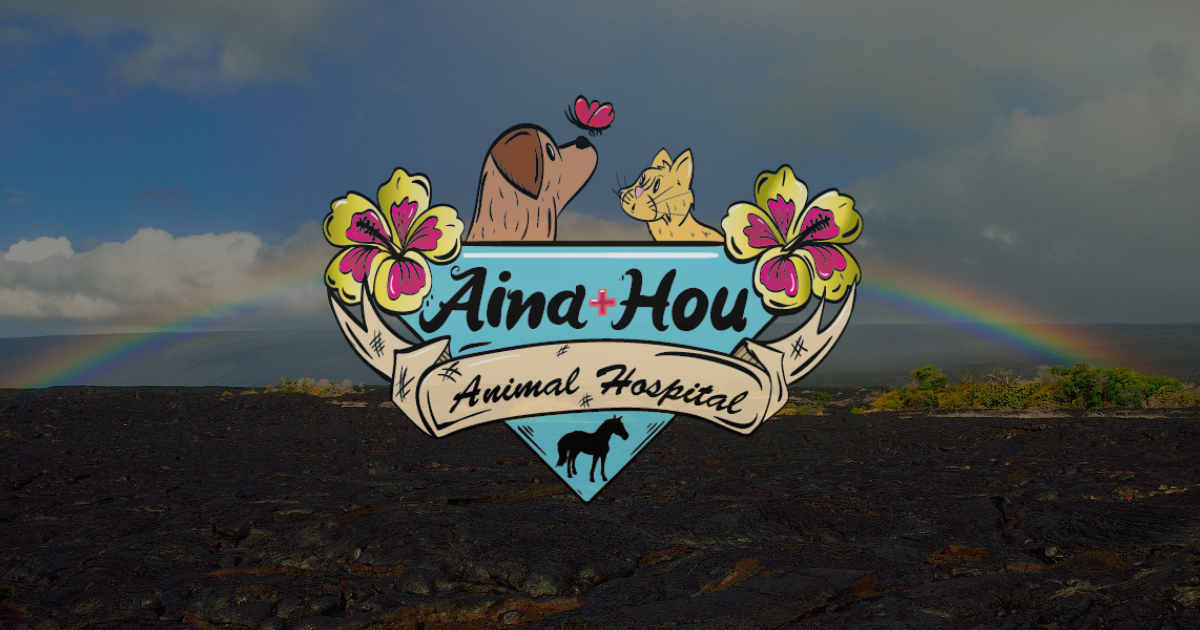 Aina Hou Animal Hospital | Big Island, HI