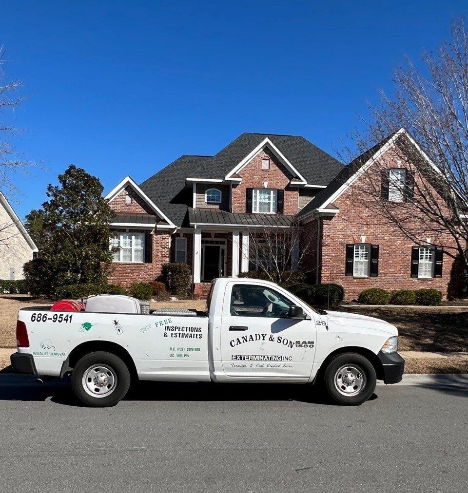 Termite Control | Wilmington, NC | Canady & Son Exterminating Inc