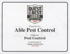 Pest Control | Able Pest Control