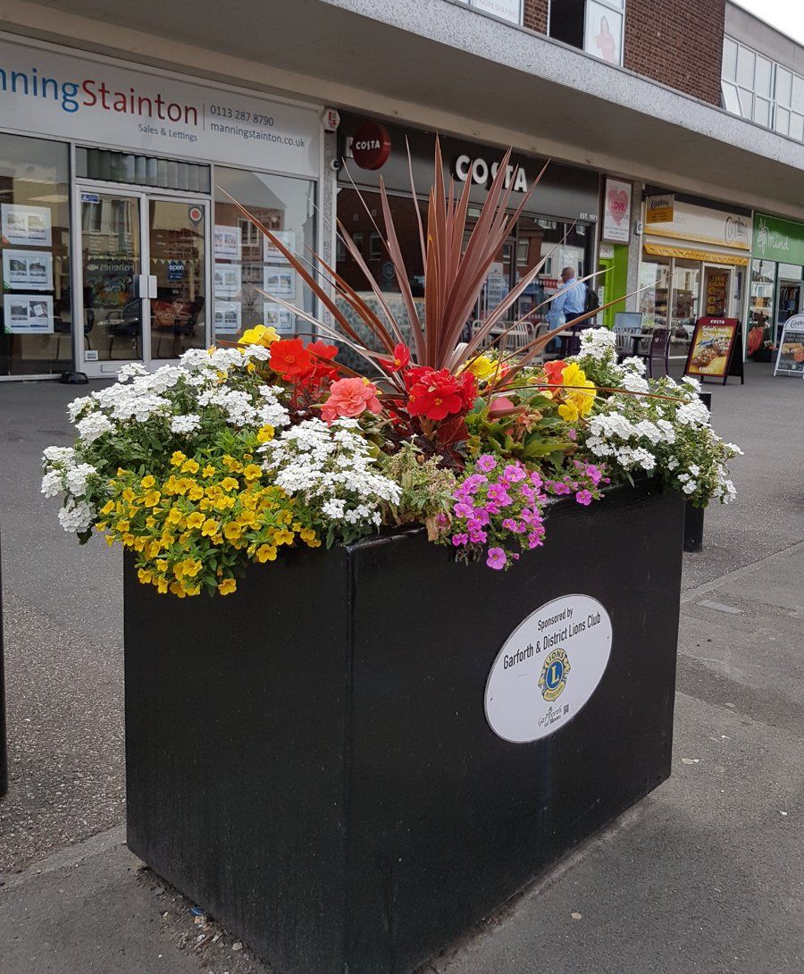 Main Street Planters