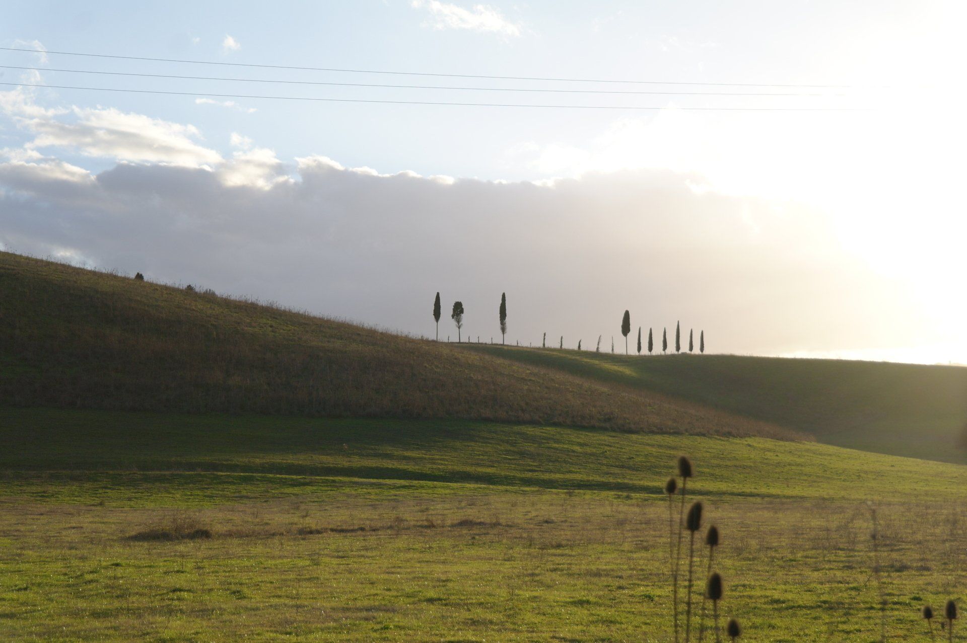 CONTACT US - Antico Casale Rodilosso & Villa Montignoso