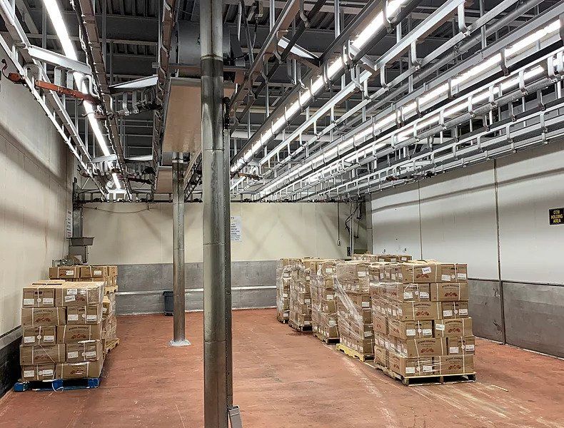 Home | N.O.W. Electrical Services Inc. and Element Electrical