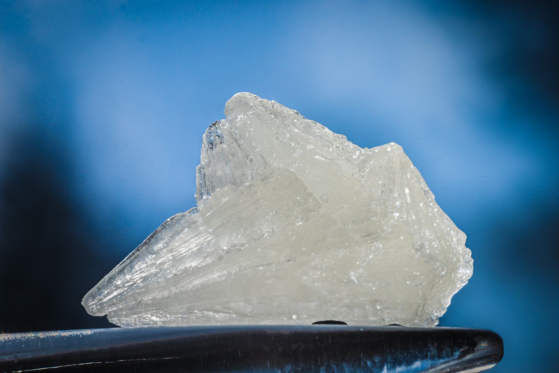 Grasshopper Club Dispensary