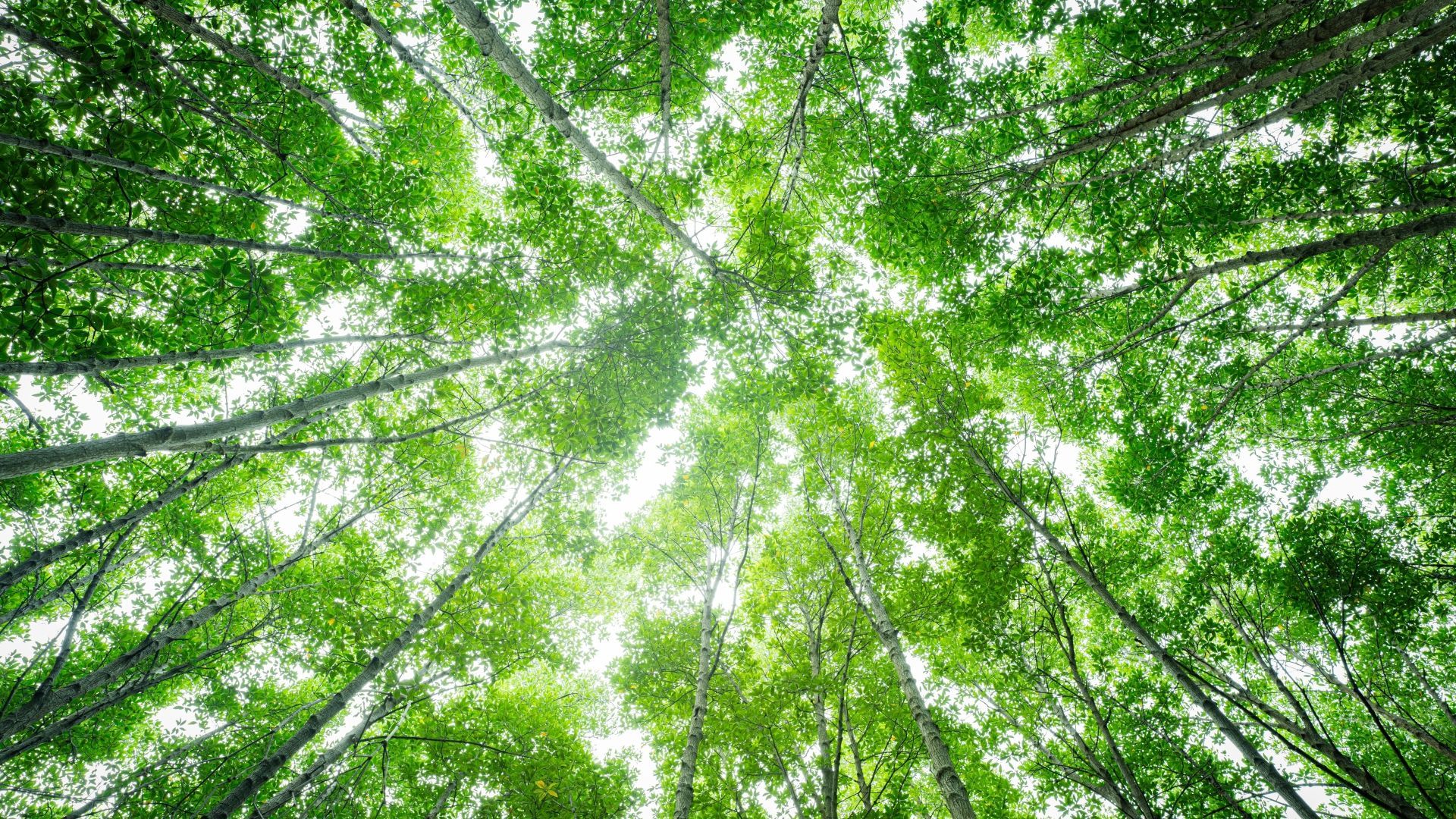 LUSAS Version 22 microsite