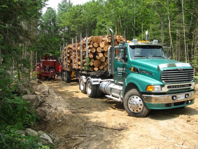 Timber Hauling - Portland, Maine - Kimball Logging & Firewood