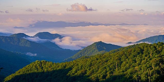 Smoky Mountains Spring Wallpaper
