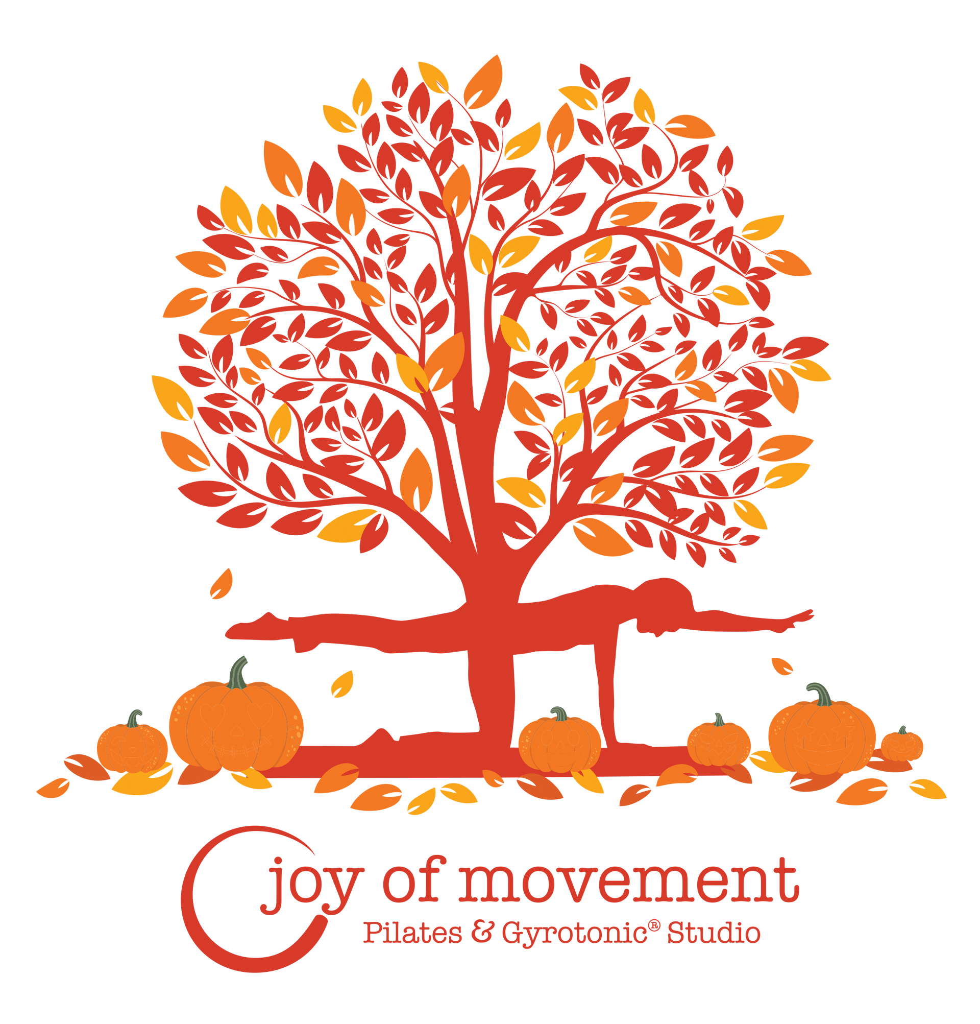 Gyrotonic and Pilates Studio in Aptos, CA | Joy of Movement