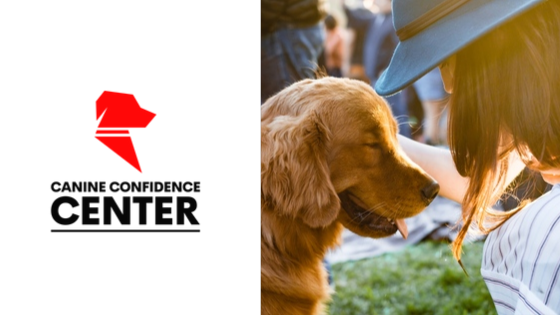 Dog Trainer Near You - Canine Confidence Center