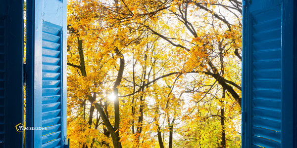 The Role of Windows in Home Insulation During Fall & Winter