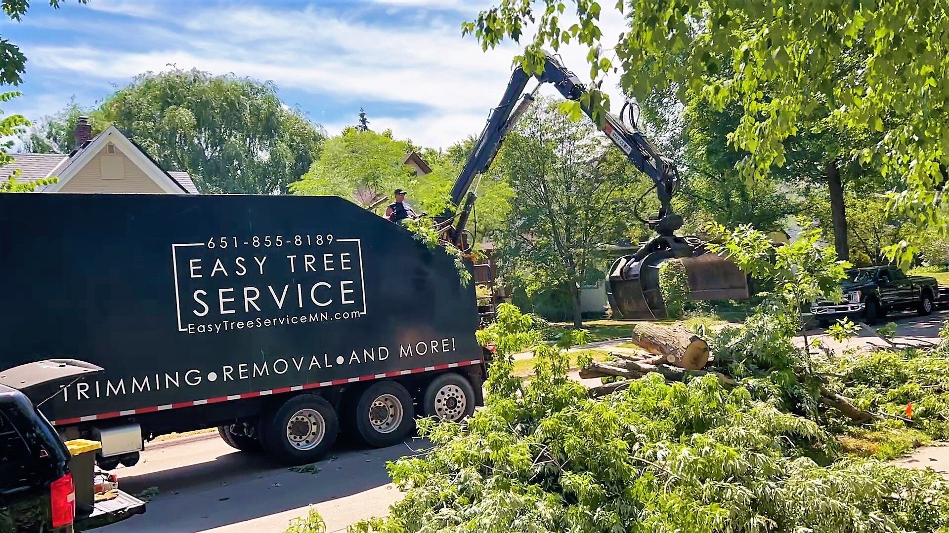 Tree Cutting & Removal service company Twin Cities Minnesota