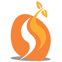 Studyseed CIC | Private Tuition and Education Services