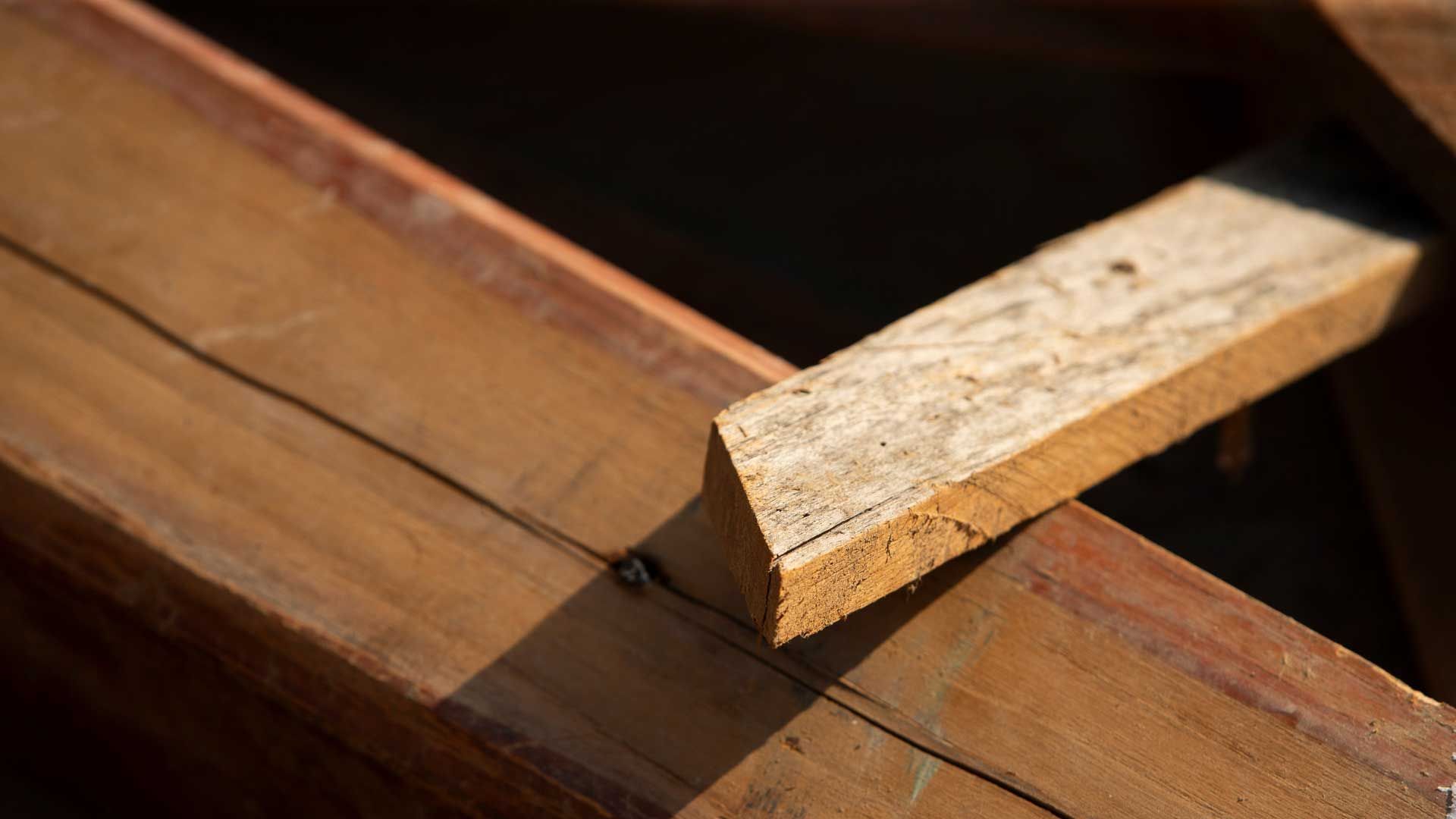 Woodworm Treatment Ireland - TimerGuard - Woodworm Specialist