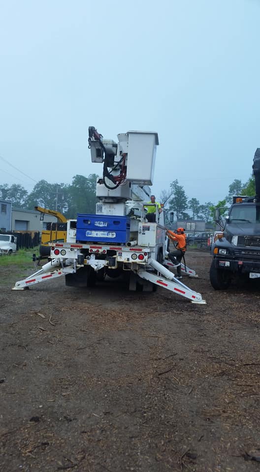 Brown Hound Tree Service