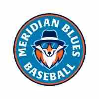 Minor League Baseball | Meridian Blues