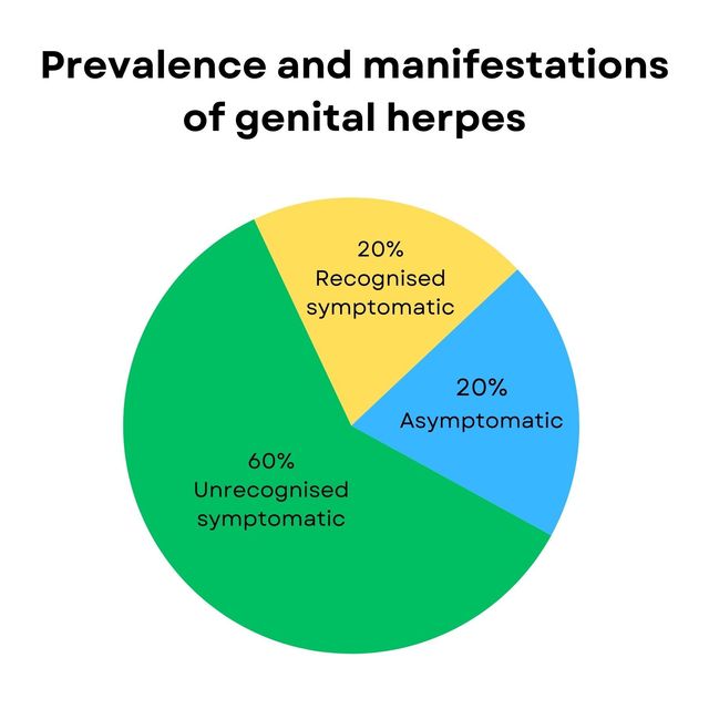 Herpes Primary Outbreak Timeline - Infoupdate.org