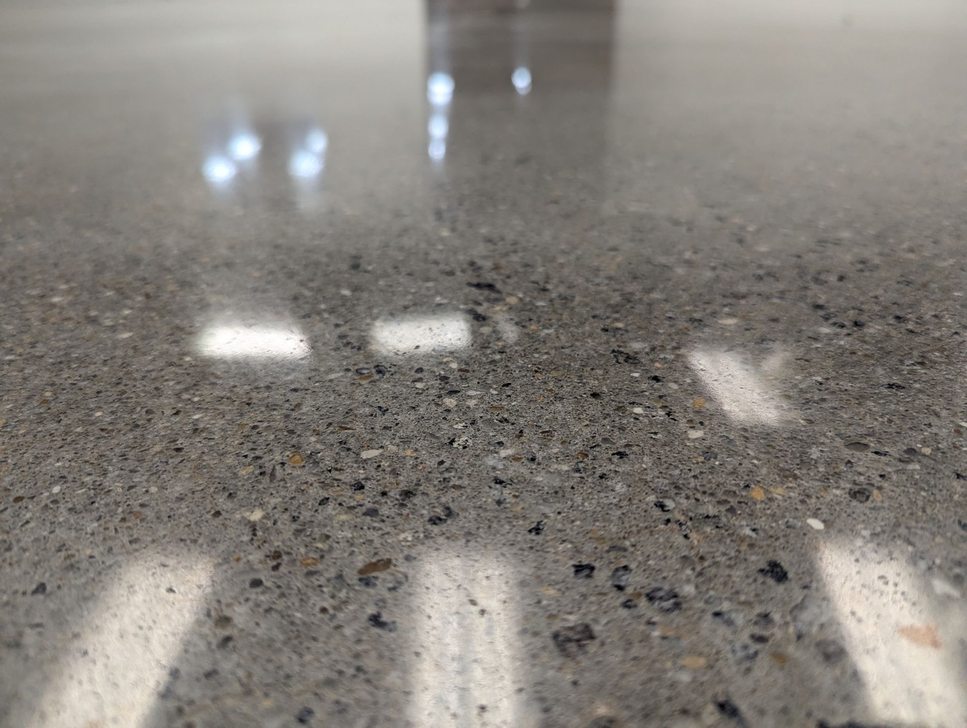 SRS Distribution | 800-Grit Polished Concrete | Spartanburg
