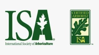 Certified Arborist Tree Service| Petersburg, IN |GE Tree Service