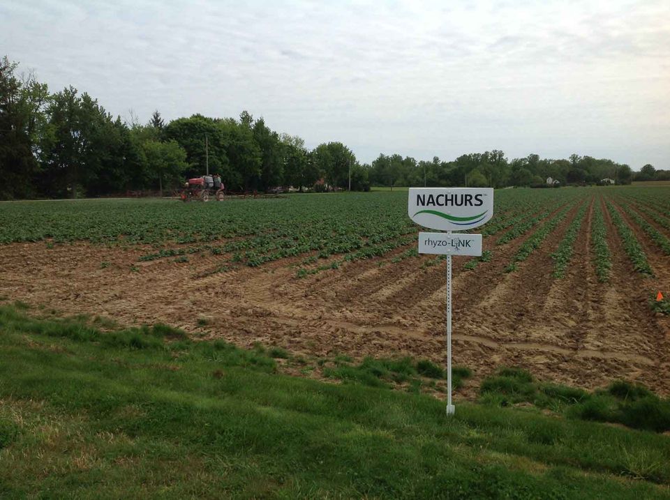 "It's fun to sell NACHURS!"