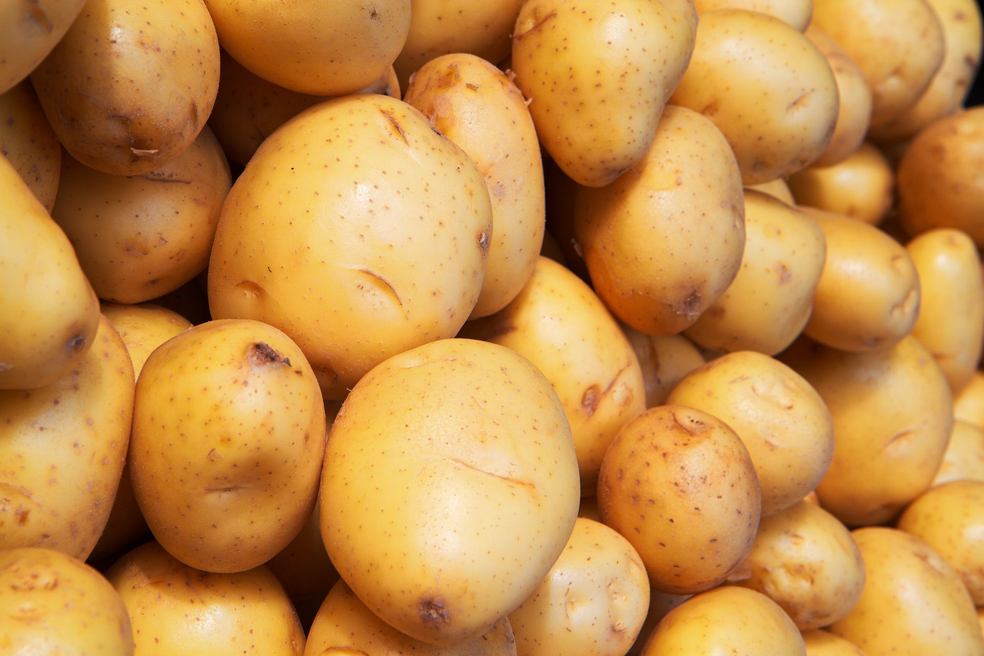 Crop Spotlight - Potatoes