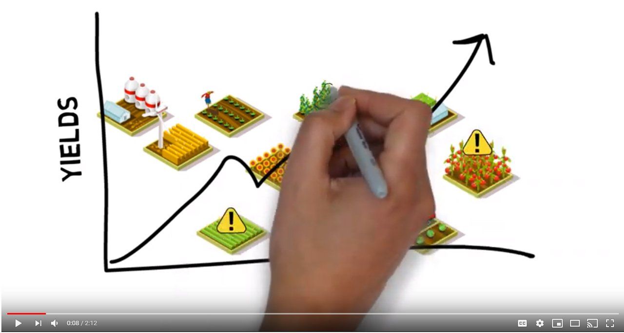 NACHURS CropMax: A Balanced and Versatile Micronutrient Package