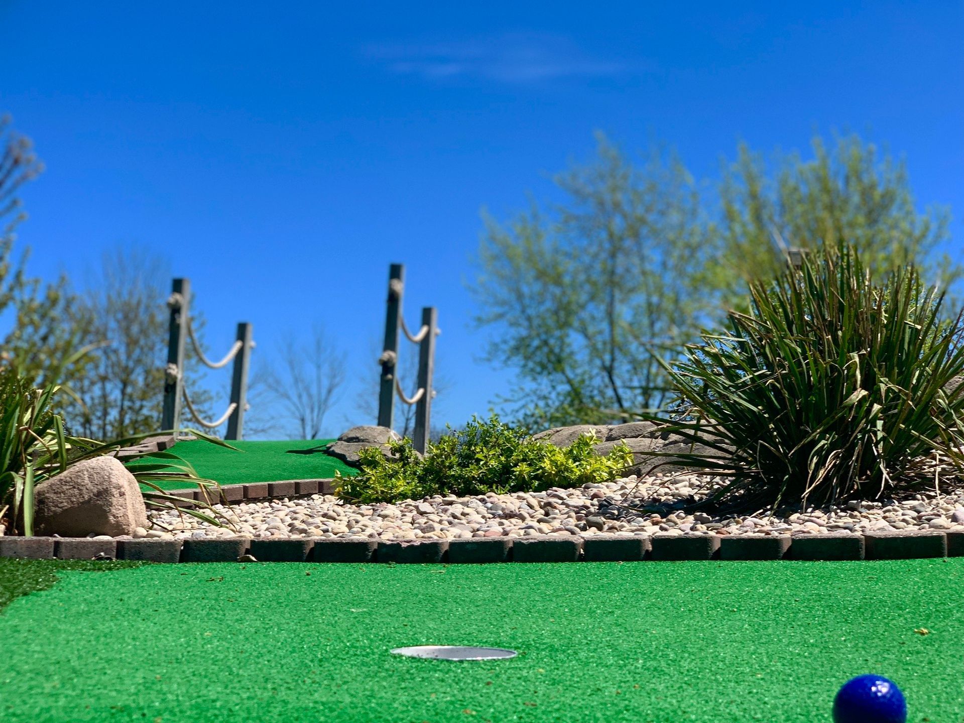 Mini Golf & Driving Range at Buddy's Sports Grill
