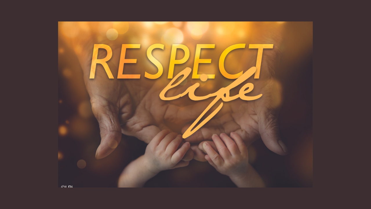 "October: Respect Life Month" by Fr. Chris House