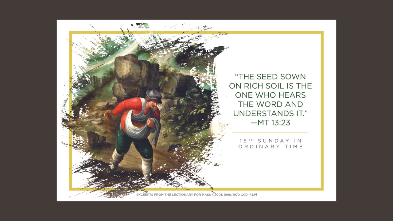 "The Sower, the Seed, and Us" by Fr. Chris House