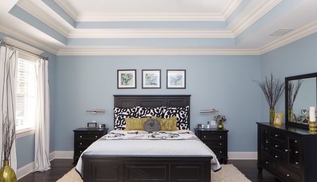 What Is A Dropped Tray Ceiling - Infoupdate.org