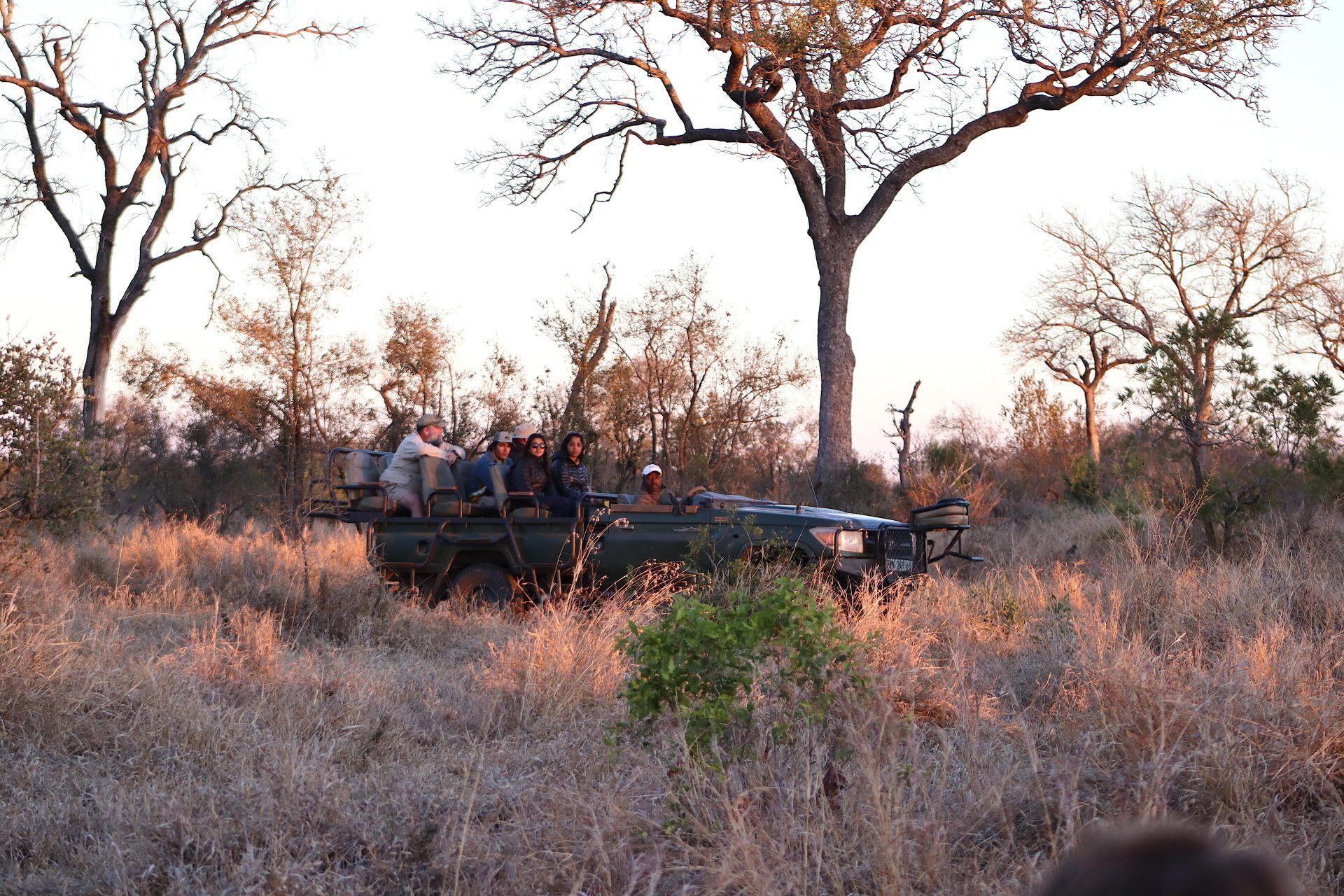 Pungwe Safari Camp | Why the dry season is the high season!