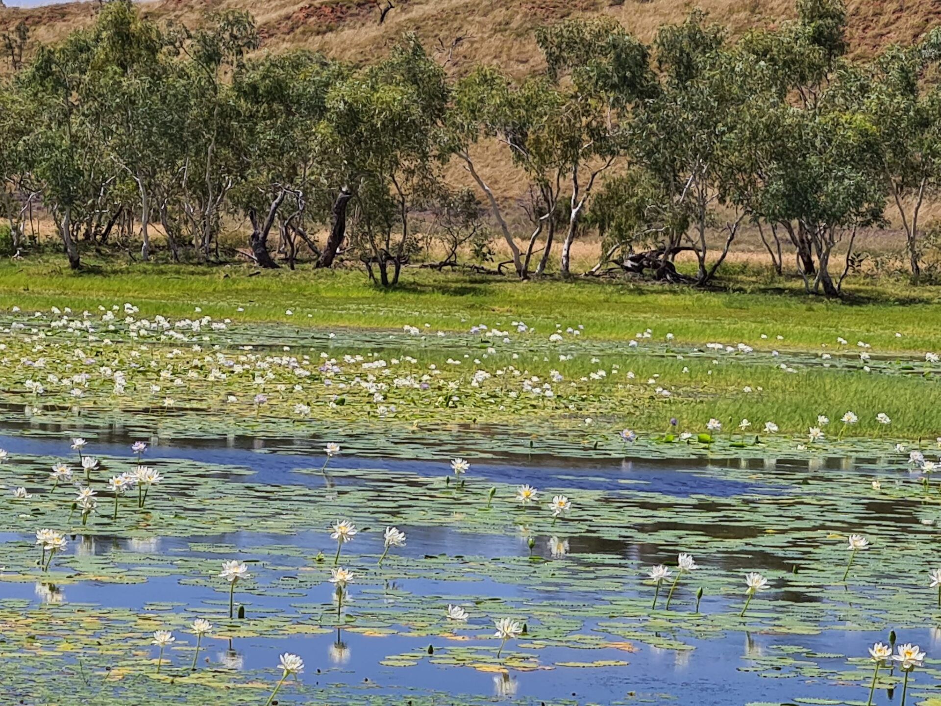 Our Town & People | Tennant Creek Mob Aboriginal Corporation