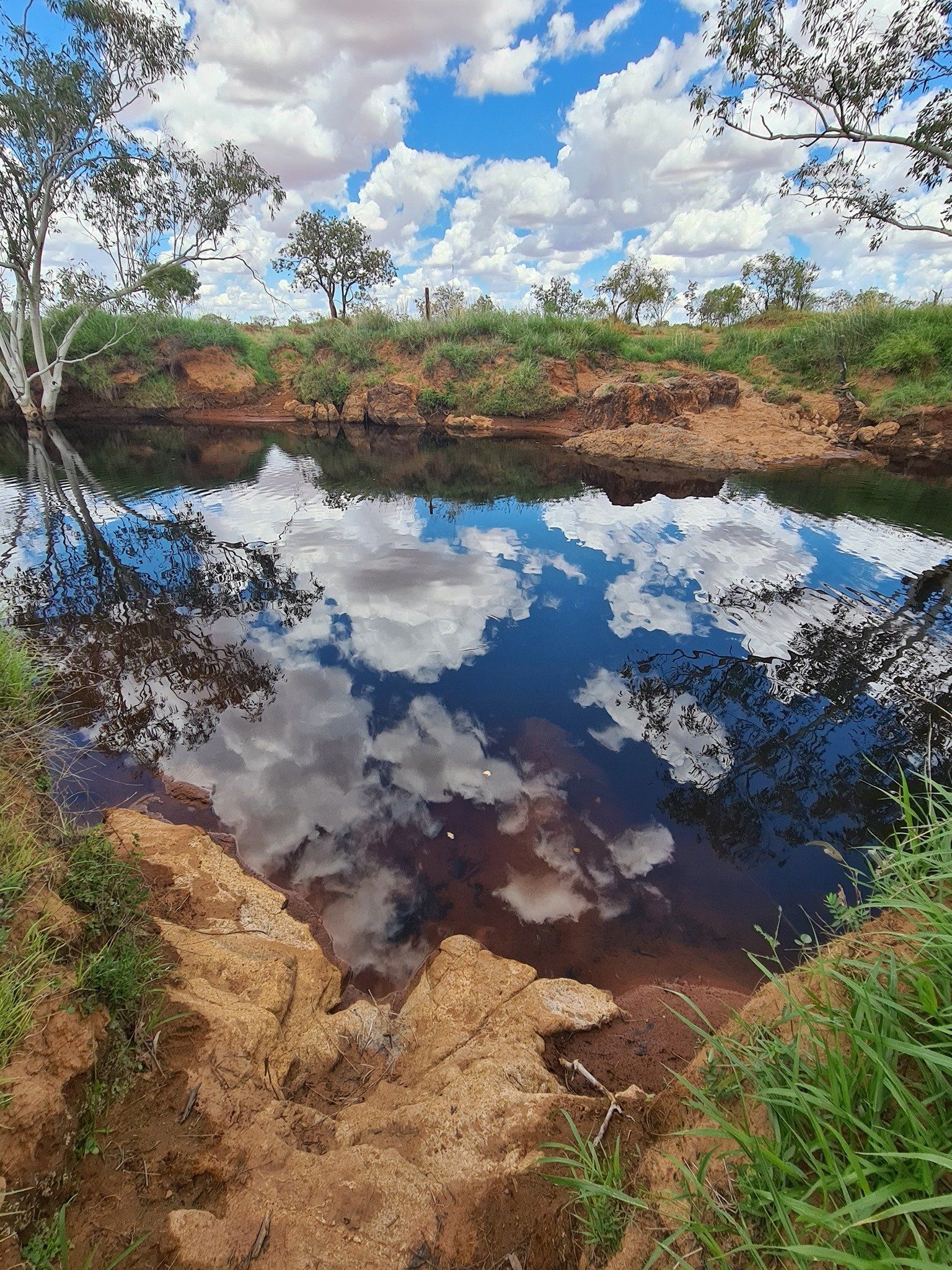 Our Town & People | Tennant Creek Mob Aboriginal Corporation