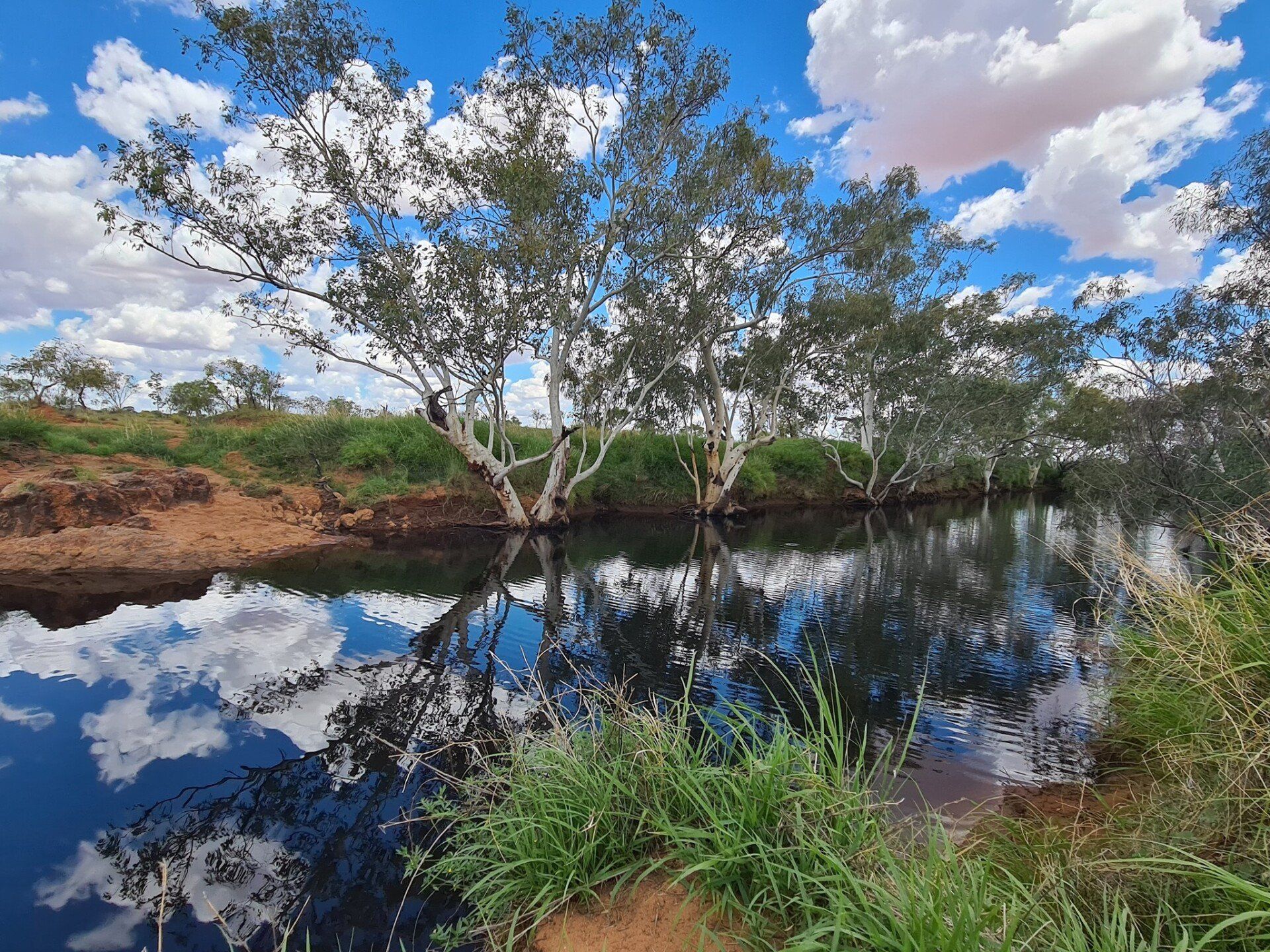Our Town & People | Tennant Creek Mob Aboriginal Corporation