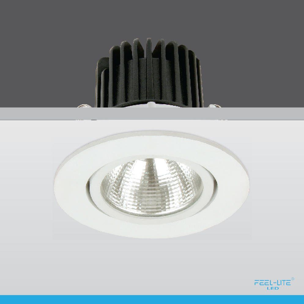 LED Down Light Supplier Malaysia - Feel-Lite LED