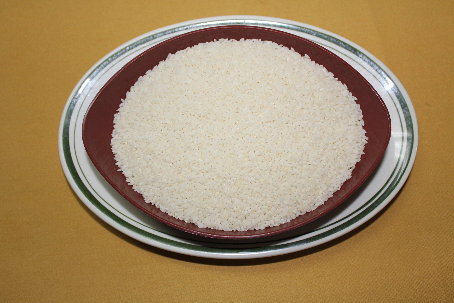 Shalimar Clifton Park NY