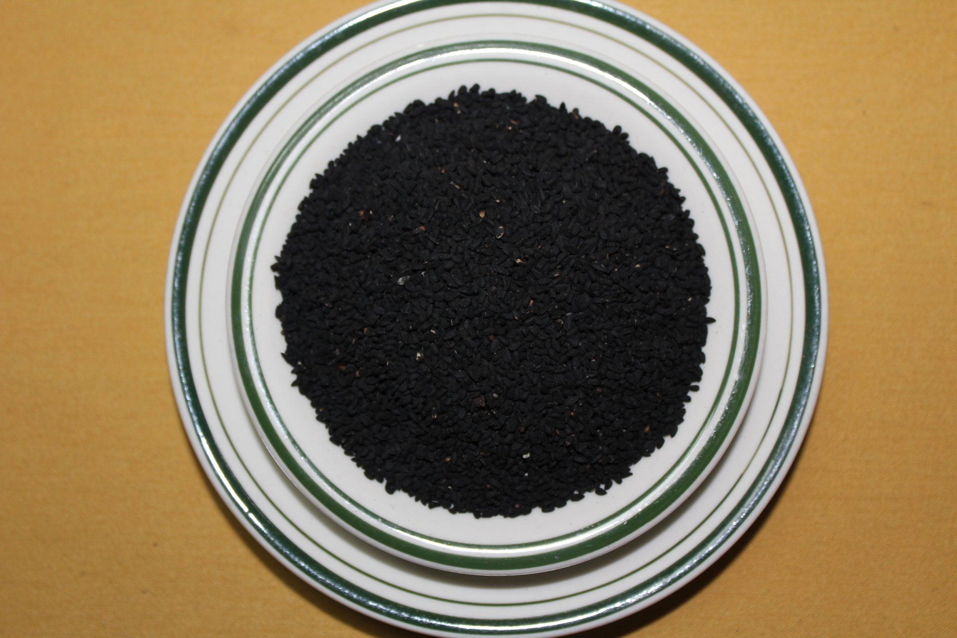 Shalimar Clifton Park NY