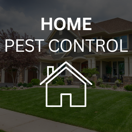 Local Best Eco-Friendly Pest Control in the Sioux Falls Area