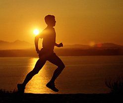 Dr. Janet Laney - Home