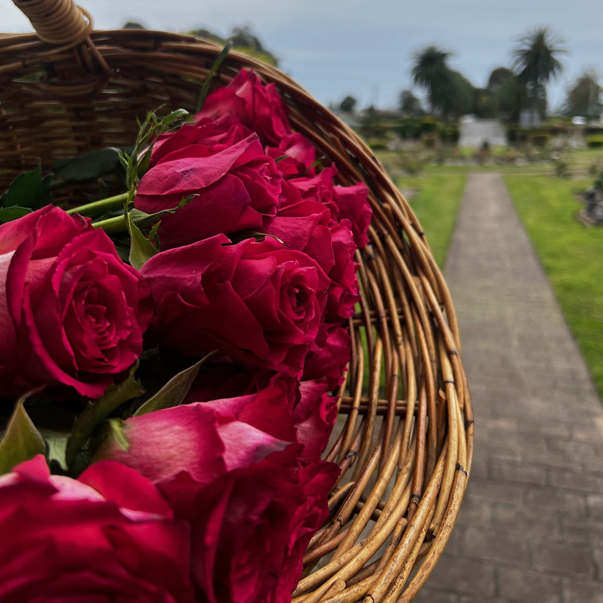 Peter Fry Funerals, Maitland, NSW, Funeral, Burial, Cremation, Beresfield