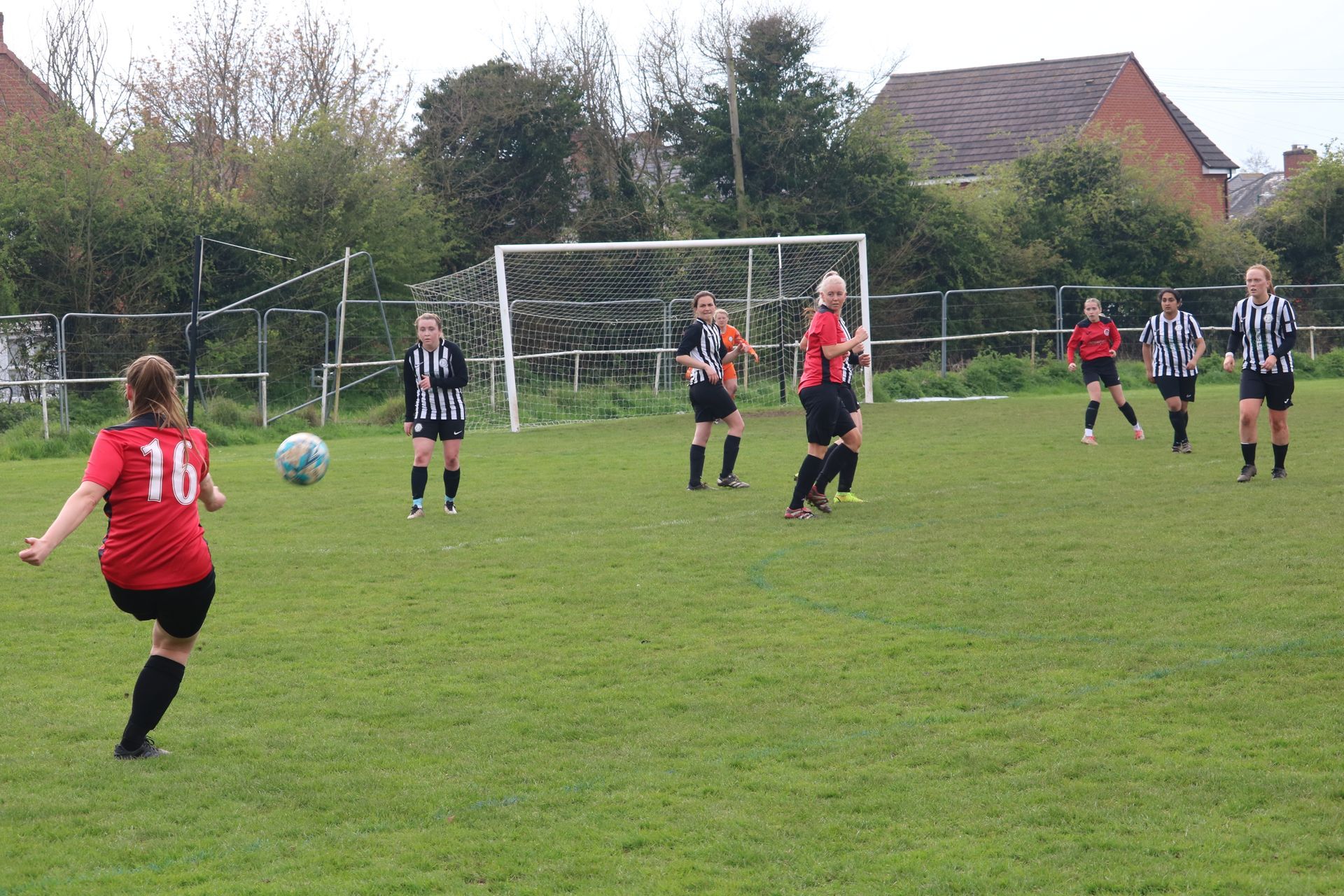White Inspires Knowle to Comfortable Win
