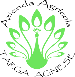 Verdura e frutta | Brugnato, SP | Azienda Agricola Targa Agnese