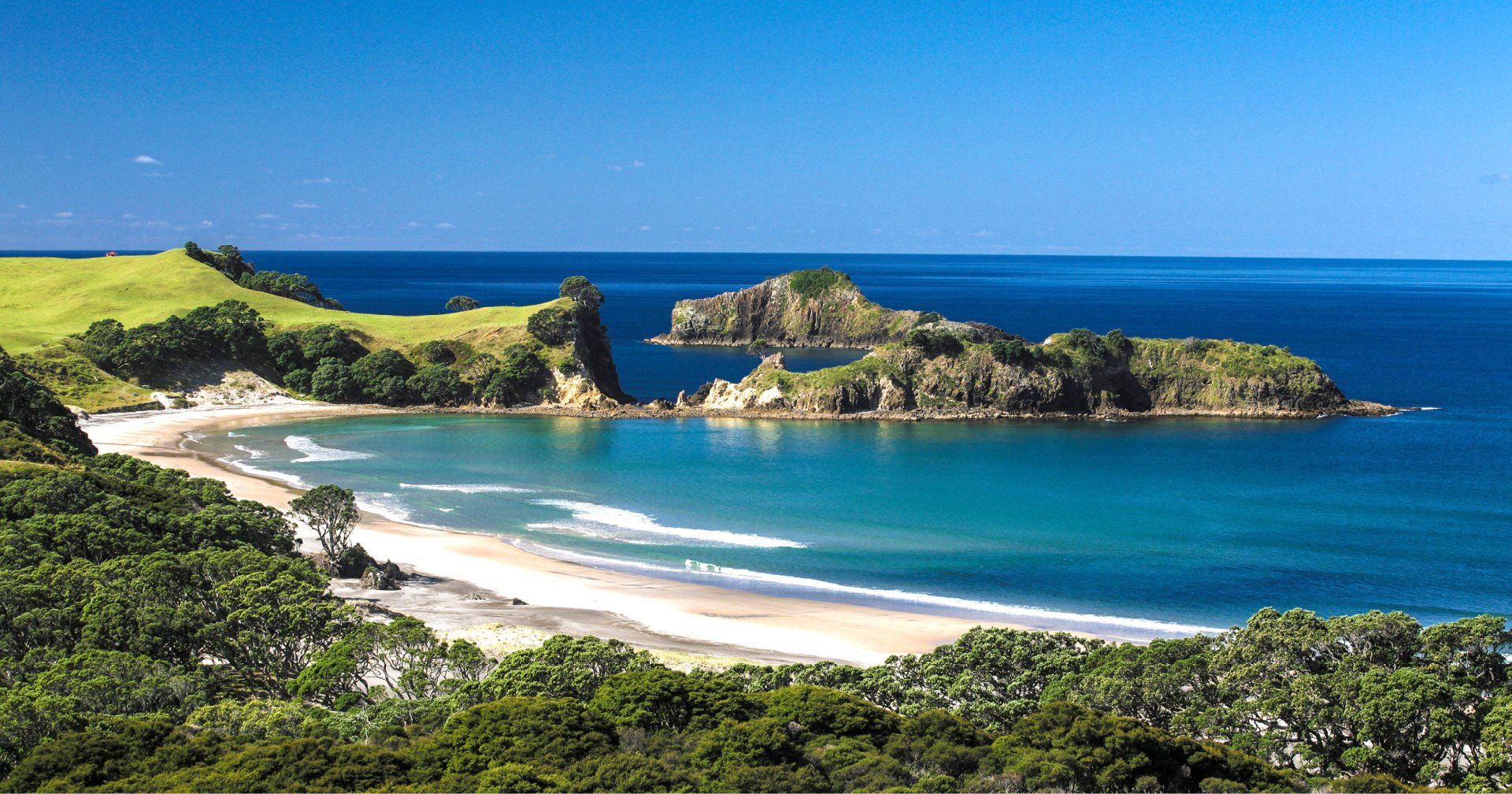 Great Barrier Island Tour | Seemore Tours