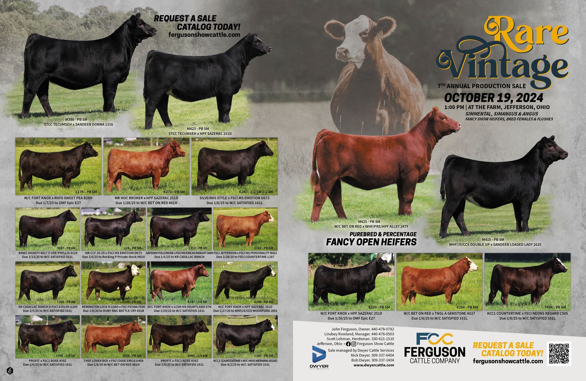 Ferguson Cattle Company | Simmental and Angus Cattle