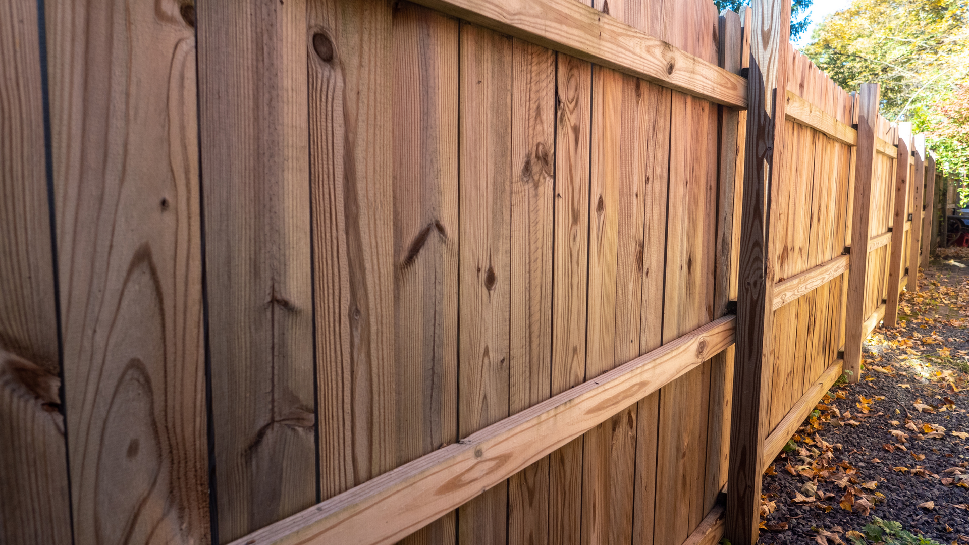 How to Choose the Perfect Fence For Your Norfolk Garden