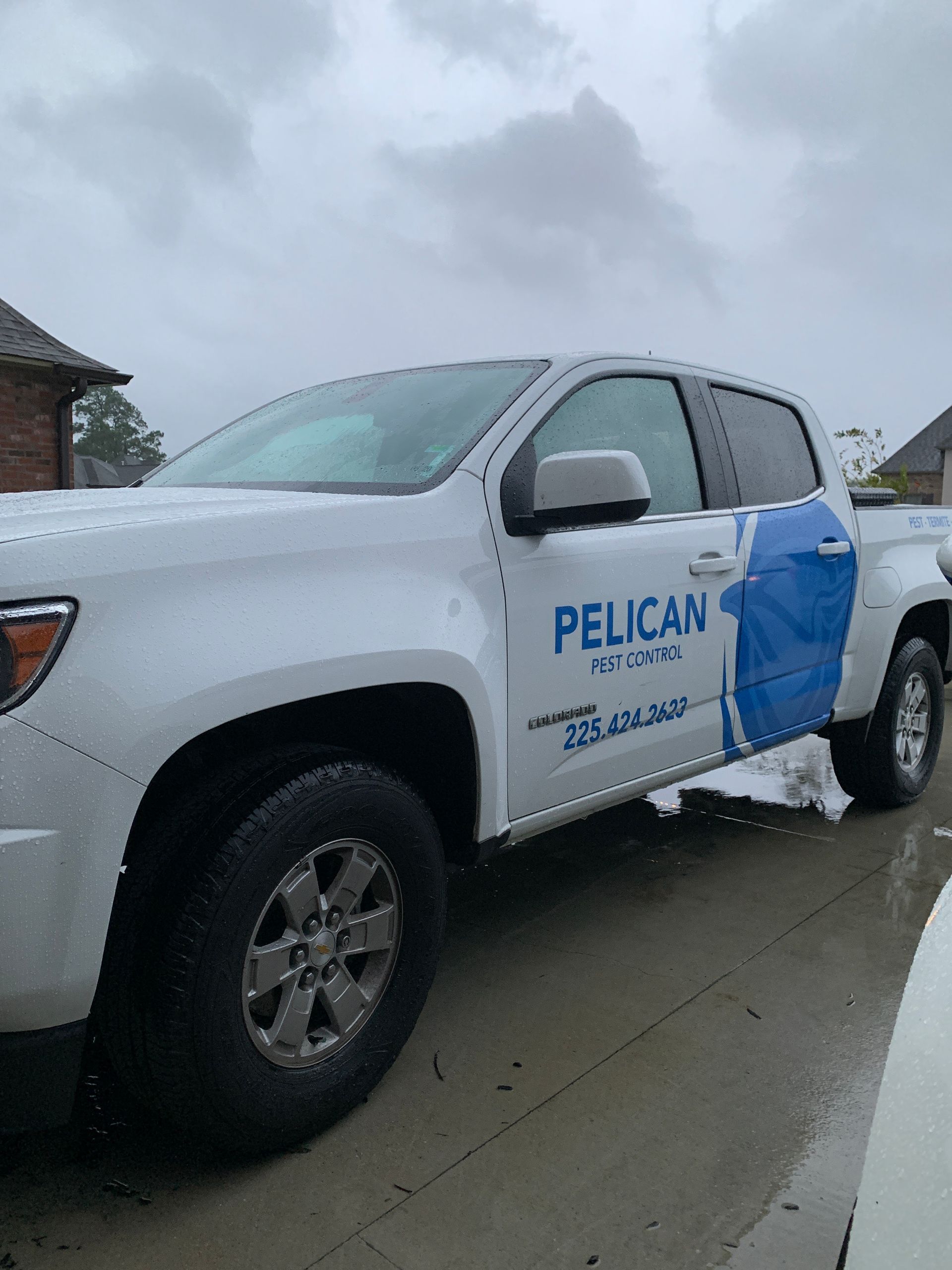 Can You Burn Termite Infested Wood?