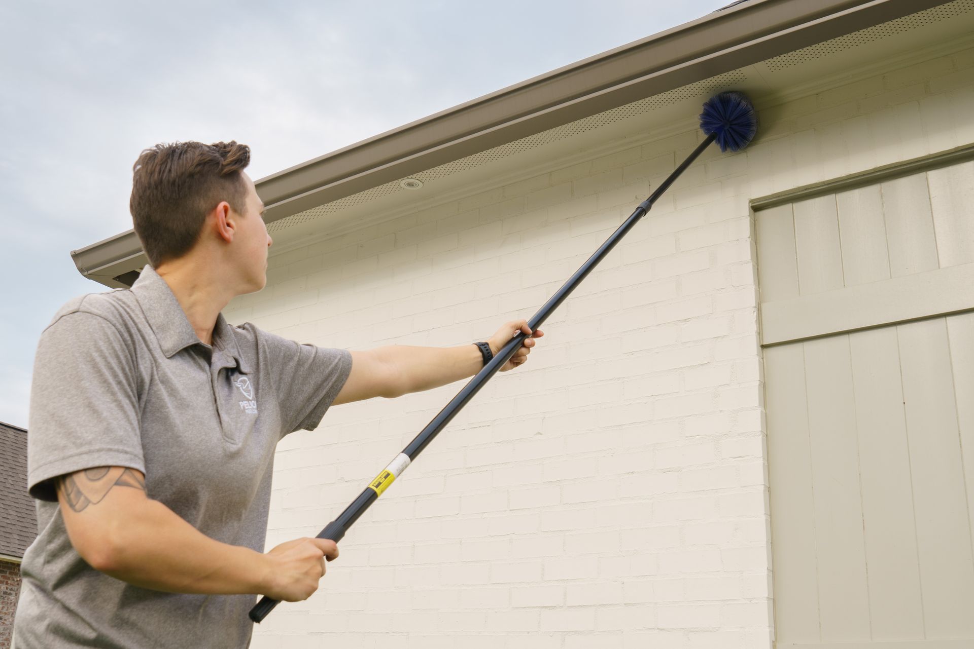 Spider Control without Harmful Chemicals