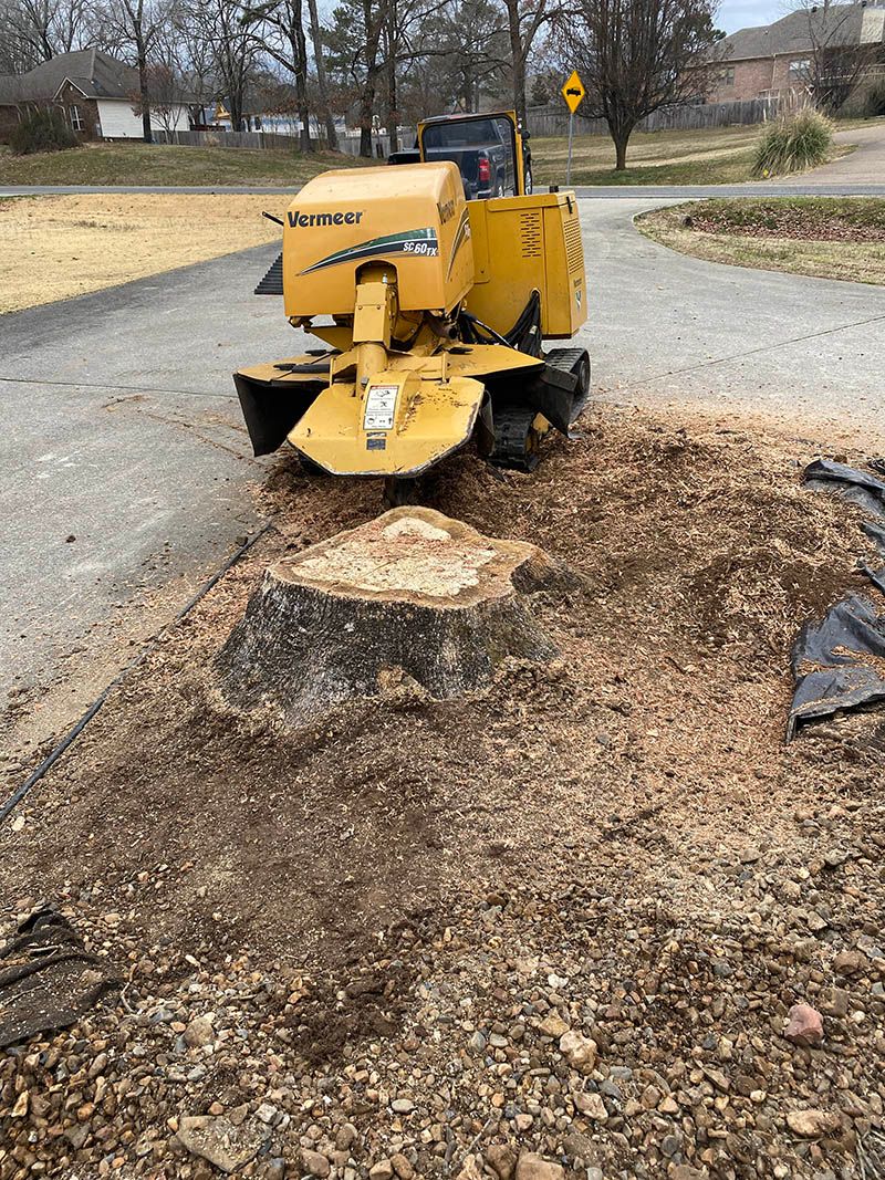 Residential Stump Grinding Service, Commercial Stump Grinding Service ...